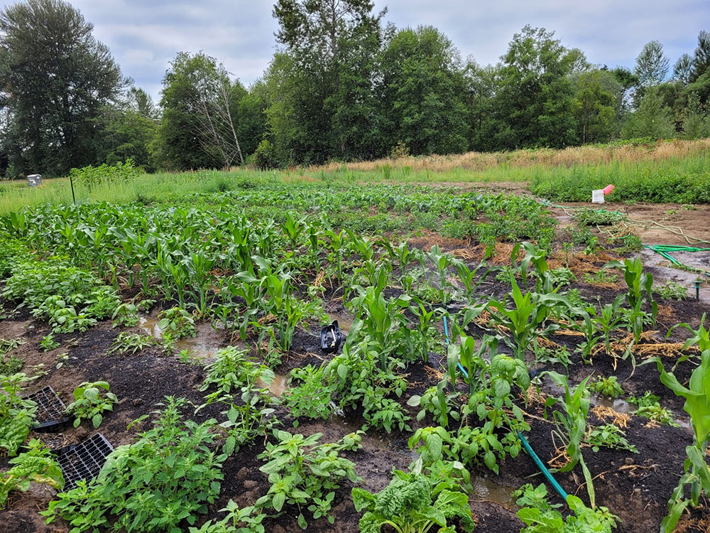 Wakulima USA receives USDA grant to turn barriers into opportunities ...